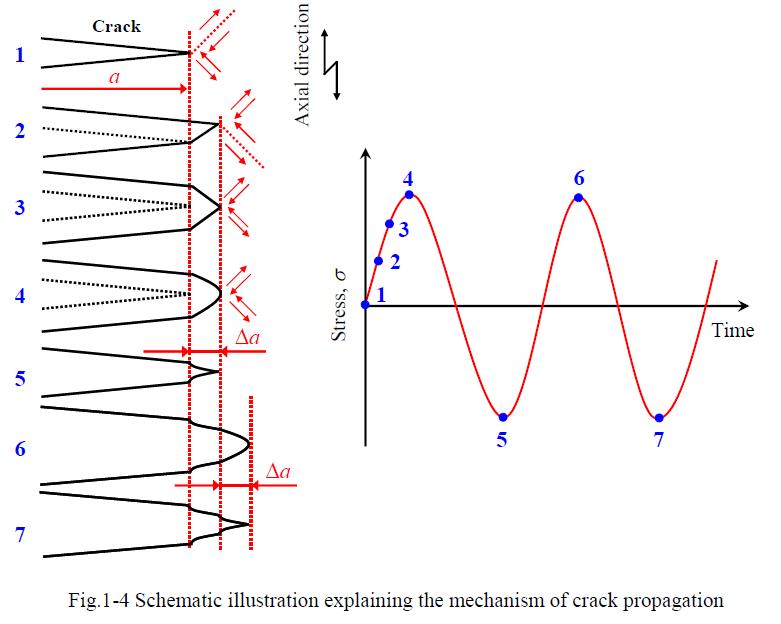 Particle surface enhancement | Principle and application of metal ...